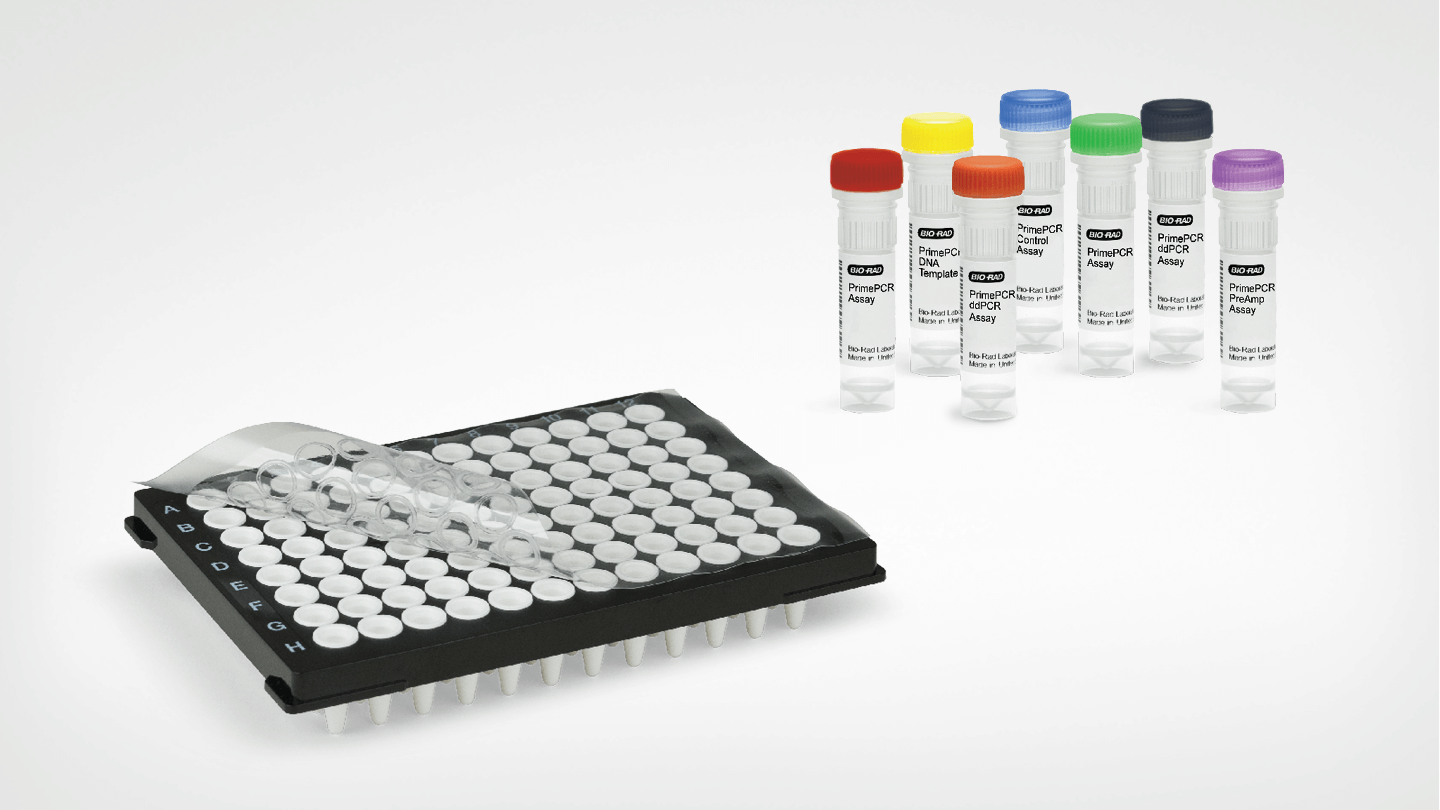 Leading Life Science Research & Clinical Diagnostics | Bio-Rad